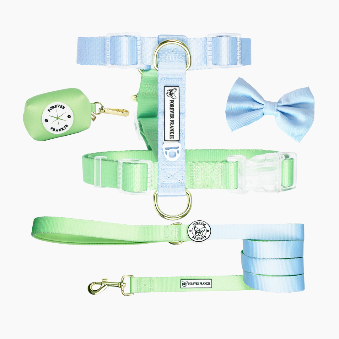 Ocean Dream Strap Walk Bundle – Forever Frankie