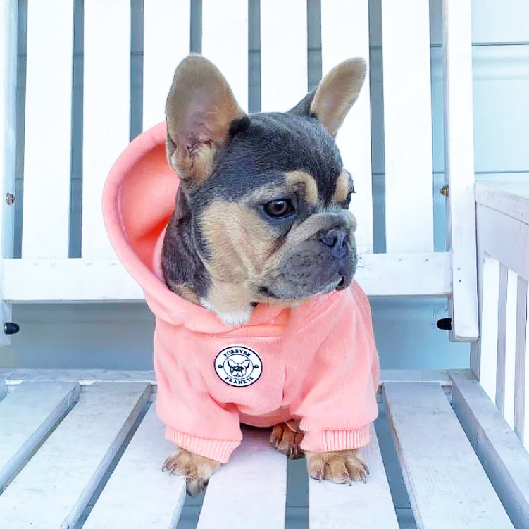 Mandarin - Dog Hoodie – Forever Frankie