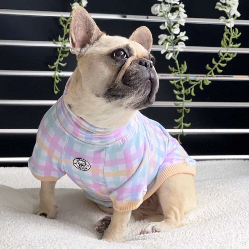 Luxe-Rainbow Gingham Dog Skivvy – Forever Frankie