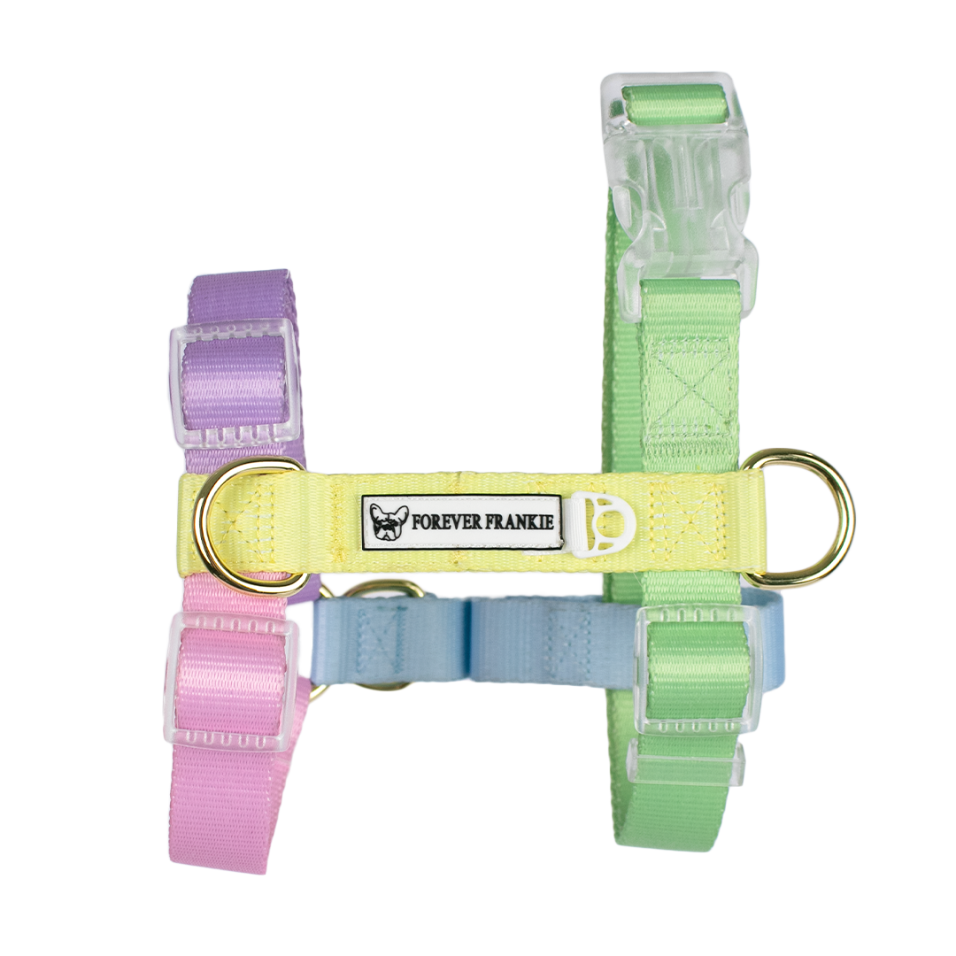Pastel Rainbow - Luxe Strap Harness – Forever Frankie
