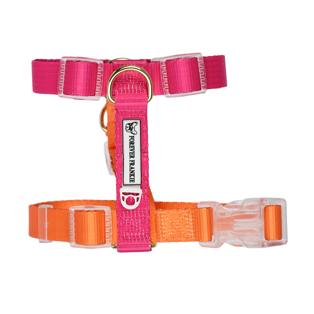 Sunset - Luxe Strap Harness – Forever Frankie